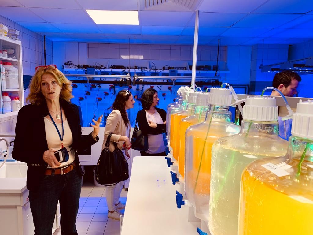 Women in Nuclear IAEA visit to the IAEA Marine Environment Laboratories ...